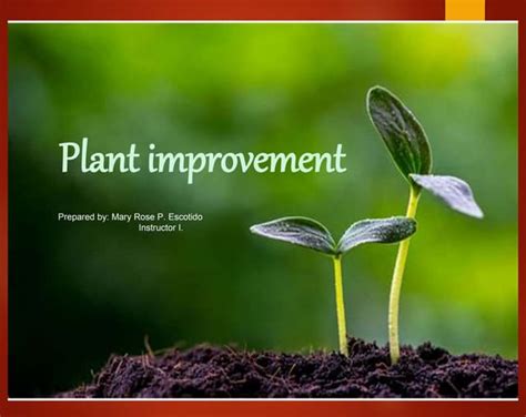 Crop Improvement Ppt