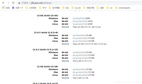 openjdk11 安装配置 csdn博客