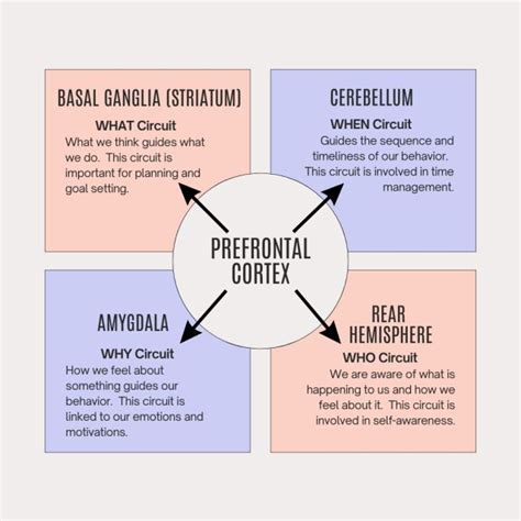 Unlocking The Adhd Brain Psychology Today