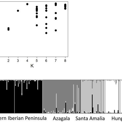 Structure Software Results A Log Likelihood Values Ten Independent Download Scientific