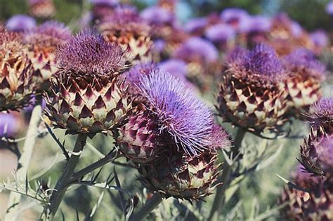 Instagram 필터를 사용하여 이미지 모양을 변경하는 방법 하이라이트 사진 인스타그램 배경 일러스트 및 사진 무료 다운로드 Pngtree