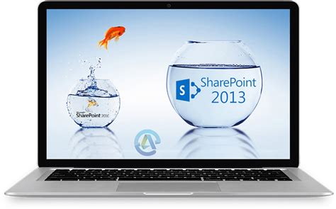 Microsoft Sharepoint Migration Services Company Code Creators