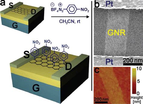 Functionalization Of Graphene Covalent And Non Covalent Approaches Derivatives And