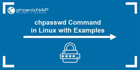 Chpasswd Command In Linux With Examples Phoenixnap Kb