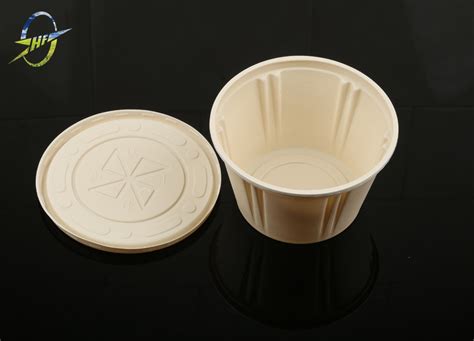 The Types Of Biodegradable Tableware Hfenggreen
