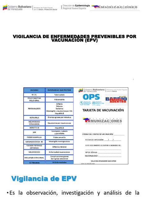 Vigilancia De Epv Pdf Sarampión Tos