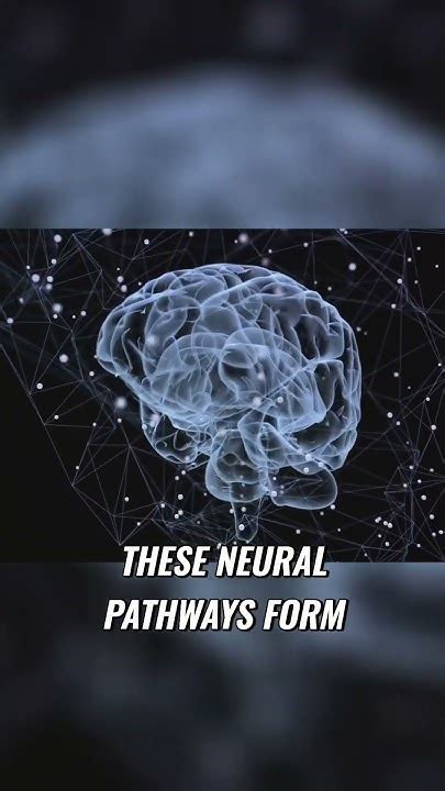 Uncover The Power Of Neural Pathways How Beliefs Shape Our Actions