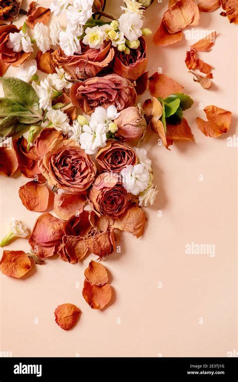 Creative Layout With Flowers Stock Photo Alamy