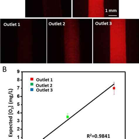 Verification Of Intracellular Oxygen Gradients On The Platform Of Download Scientific Diagram