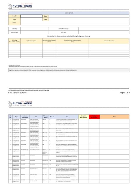Acl 7 Eng Pdf Audit Auditors Report