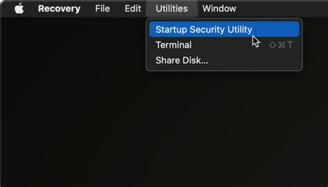 How Do I Enable Third Party Kernel Extensions On Apple Silicon Based