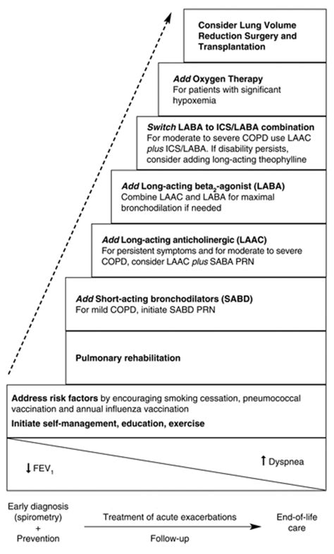 Introductory Clinical Medicine Algorithms
