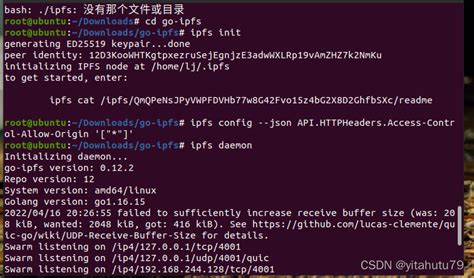 Ubuntu安装ipfs Csdn博客