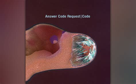 review answer code request code musikexpress