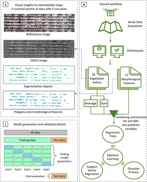 Workflow For Image Processing And Analysis A Visual Insights Of Download Scientific Diagram