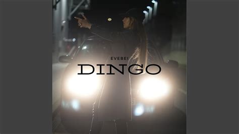 dingo youtube music