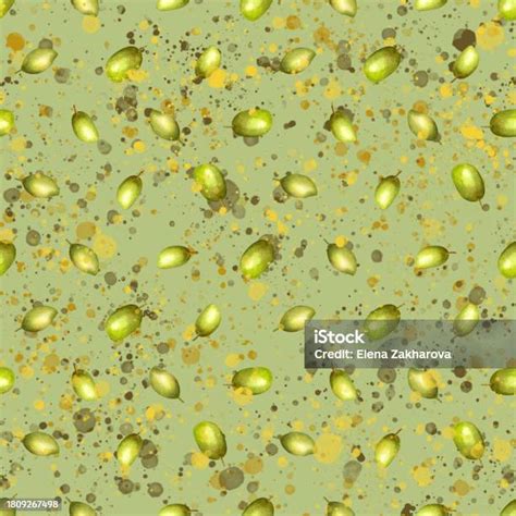 흰색 배경에 고립된 해바라기 수채화 식물 그림 손으로 그린 엽서 초대장 문구류 및 직물을 위한 격리된 요소 0명에 대한 스톡