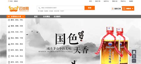 电商成功案例 java商城系统 java电商系统 易写科技官网