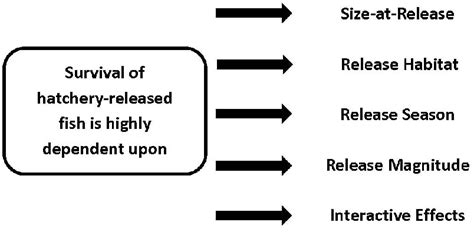 1 Key Release Variables That Can Strongly Affect Survival Of Released Download Scientific