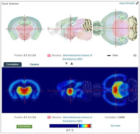 Anatomic Gene Expression Atlas Agea Allen Mouse Brain Atlas Allen
