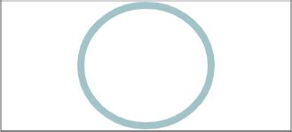 Hướng dẫn và ví dụ Flutter CircleBorder openplanning net