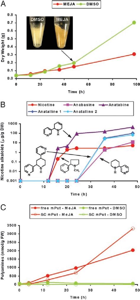 figure 1 from a functional genomics approach toward the understanding