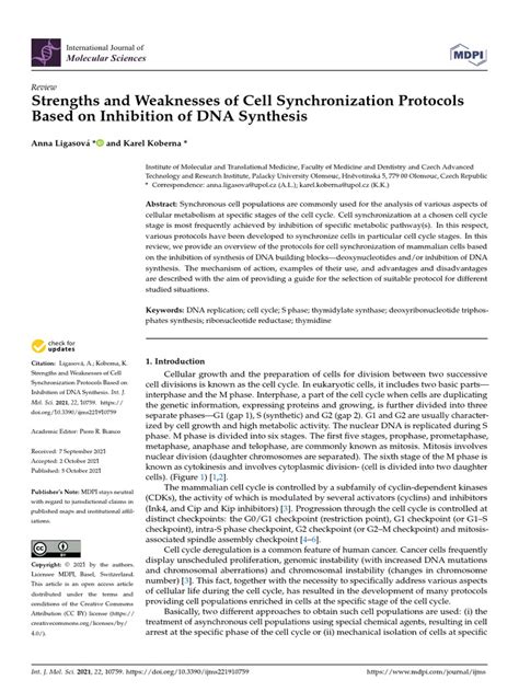 Cell Syncronization Review Pdf Mitosis Dna Replication