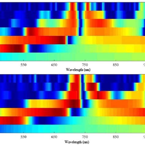 visualization of correlation scalogram based on continuous wavelet