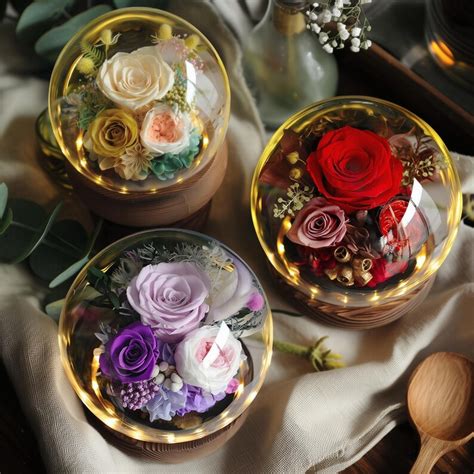 Romantic Handcrafted Preserved Rose In Glass Ball Dome Valentines Day