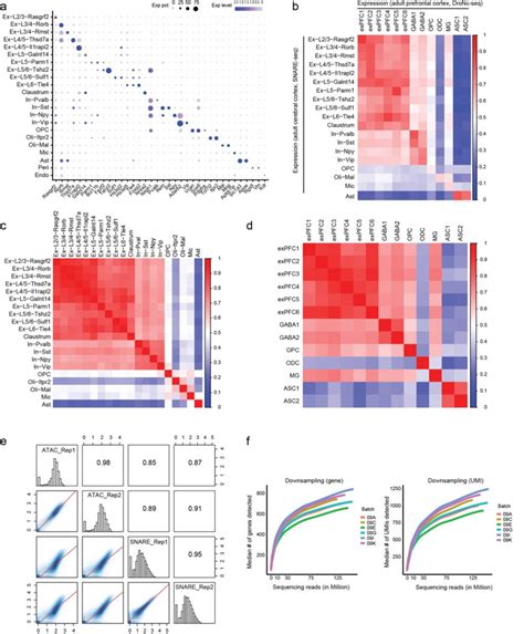 The Snare Seq Profiles Of Adult Mouse Cerebral Cortex Are Correlated