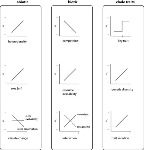 Possible Effects On Diversification Rate D Of Selected Variables
