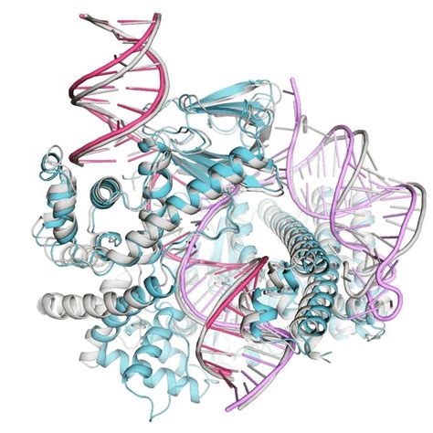 Enzyme News 🧬🚨introducing Alphafold 3 The New Version Facebook