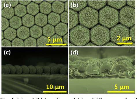 Figure 1 From Fabrication Of Zno Nanorod Polystyrene Nanosphere Hybrid Nanostructures By
