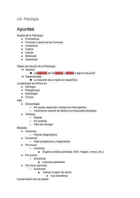 notas patología para primer parcial ua patología apuntes etapas de