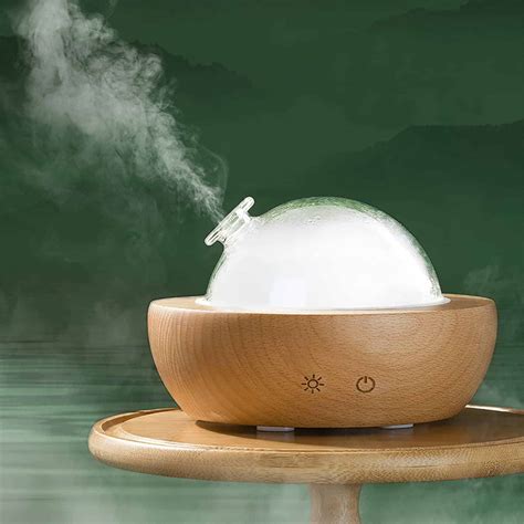 Whats The Difference Between A Diffuser And A Humidifier All Difference