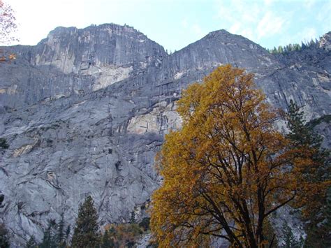 fall color at yosemite picturesque photo views