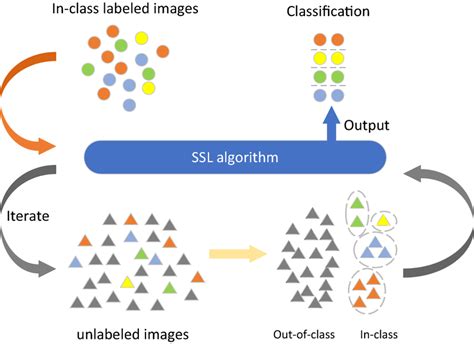 expected performance of ssl algorithm on semi inat we use circles to