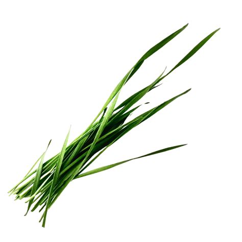 Ingredients Face Icles