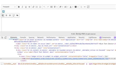 How Can I Add Custom Baseurl For Image In Ckeditor Data · Issue 305