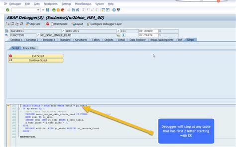 Sap Abap Central How To Stop Your Sap Debugger On Update Of Standard Table Or Selection Of