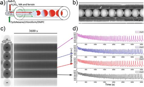 A Sketch Of The Microfluidic Device Used To Generate The Droplet Download Scientific Diagram