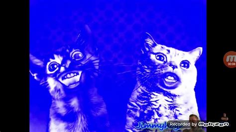 Preview 2 Numa Cat Effects (Sponsored preview 2 effects) Chorded - YouTube