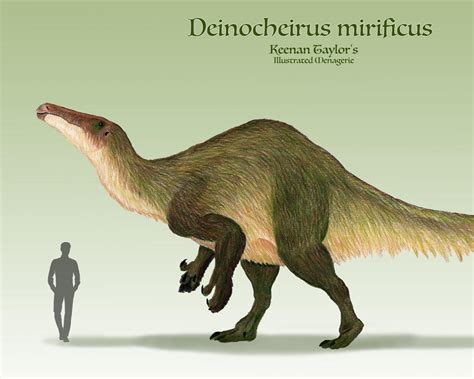 Deinocheirus Mirificus By Illustratedmenagerie On Deviantart