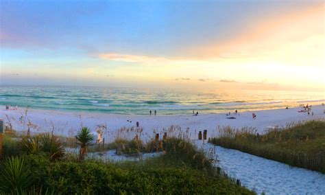 Michael Wiggins Professional And Personal Passions