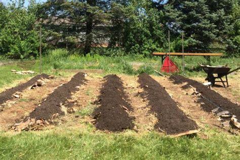 How To Make Garden Rows With A Tiller Fasci Garden