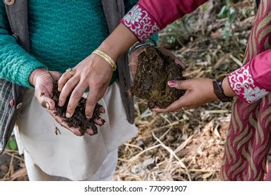 Sustainable Farming Practices Images Stock Photos Vectors Shutterstock