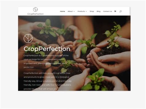 a fully functioning ecommerce shopping cart website upwork