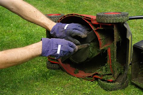 3 Tips For Mowing Wet Grass Avoid These 2 Things