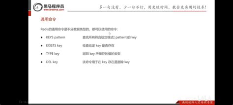 day05 苍穹外卖（redis初识） csdn博客