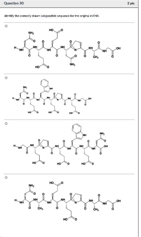 Identify The Correctly Drawn Polypeptide Sequence For The Original Mrna The Corresponding Mrna
